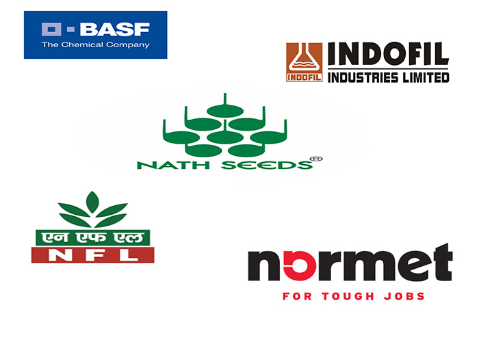 Pinnacle Training & Development Solutions